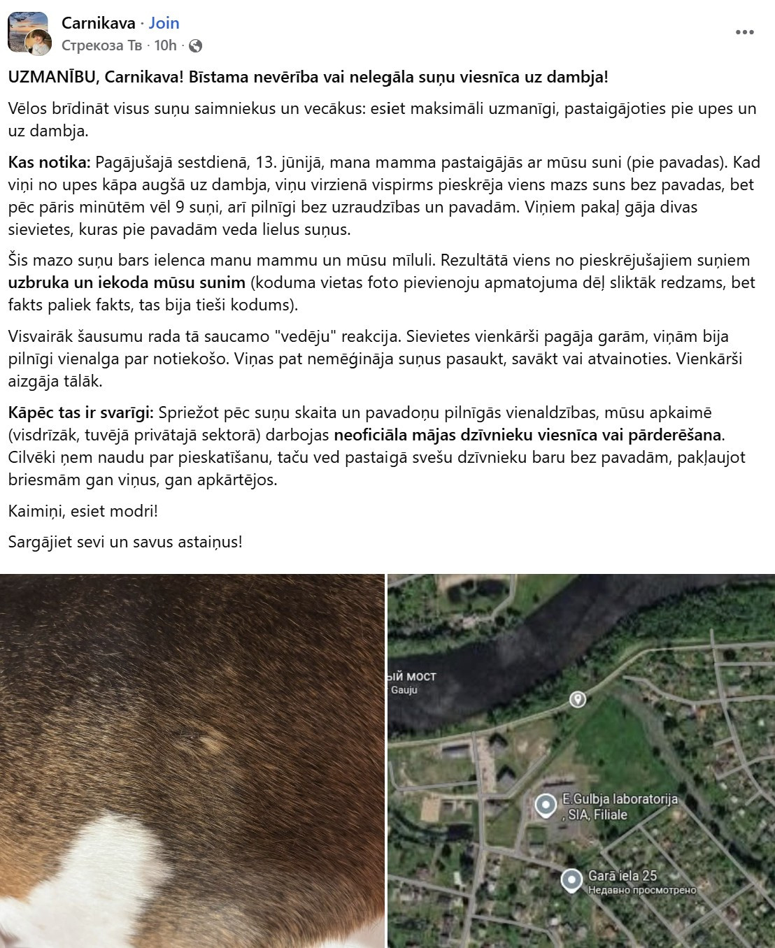 Sieviete brīdina carnikaviešus par bīstamiem suņiem pie upes un uz ...